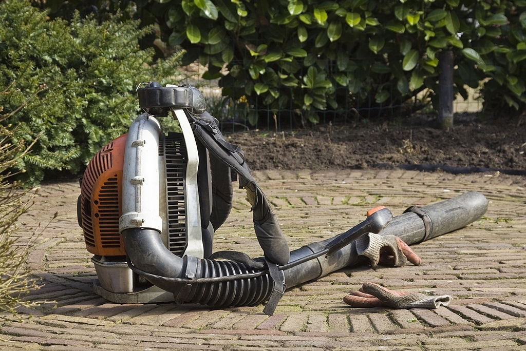 How to adjust Stihl BR600 Valves | earlgibson.net